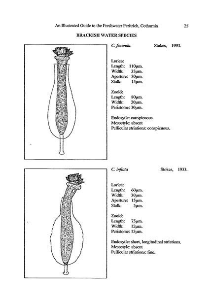 An Illustrated Guide to the Freshwater Peritrich Cothurnia